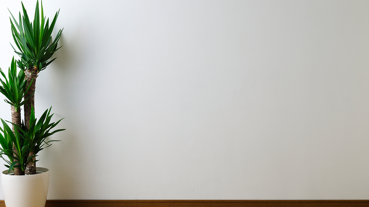 Order Filters | Reliant Home Filters